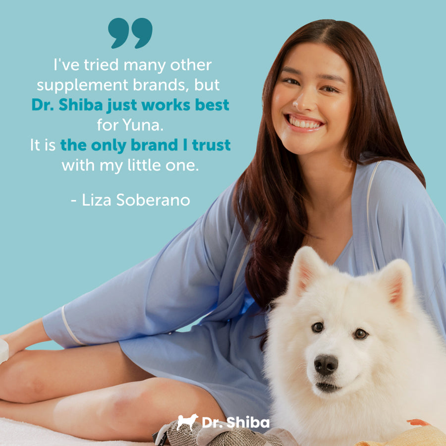 Happy Tummy - Probiotics for Dogs | Dr. Shiba Dog Food PH – Dr Shiba ...