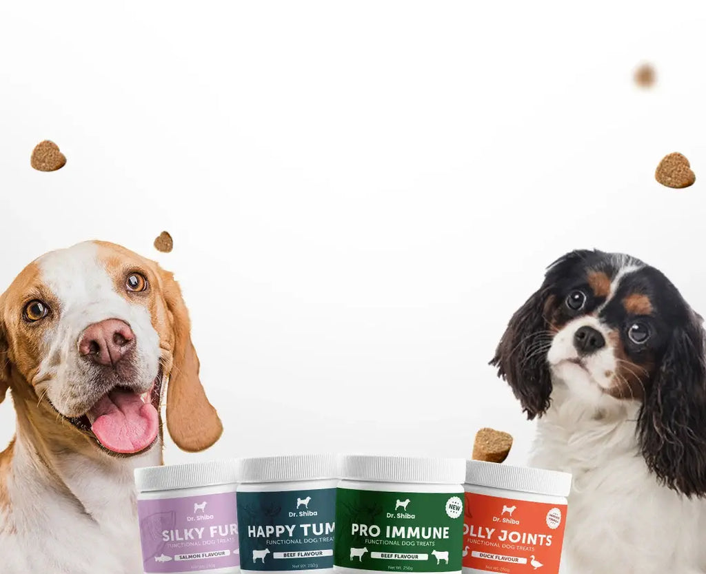 Dr. Shiba | dog supplements packed into treats - healthy and yummy – Dr ...