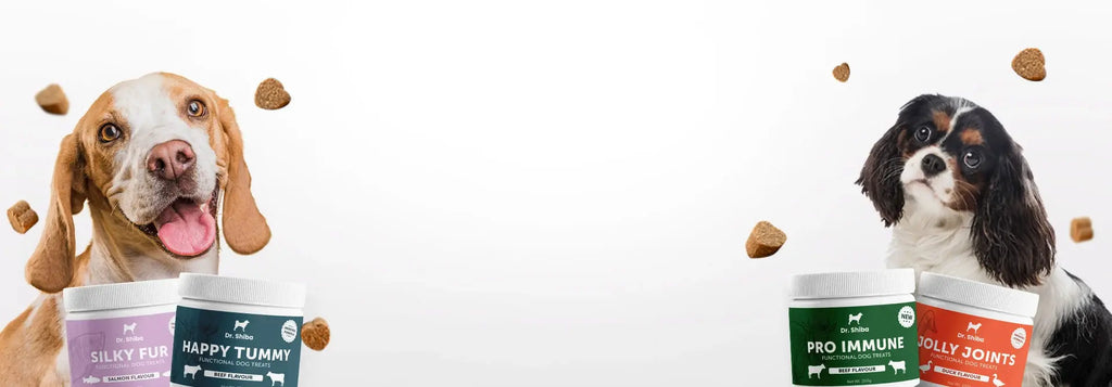 Dr. Shiba | dog supplements packed into treats - healthy and yummy – Dr ...