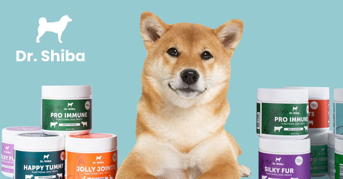 Limited Edition: Kind Kibble + Free Merch! – Dr Shiba Supplement Treats PH
