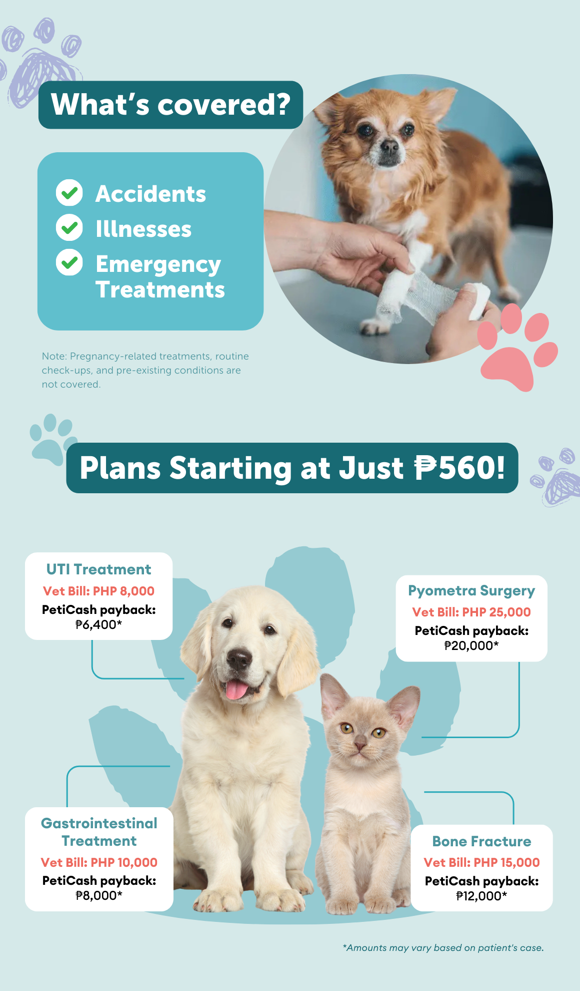 Test Insurance – Dr Shiba Supplement Treats PH